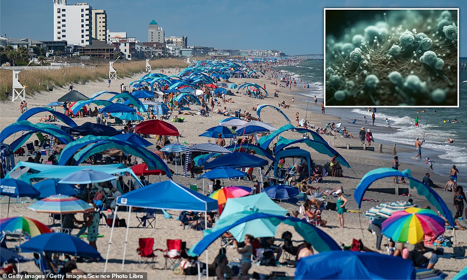 Authorities close more beaches across US as deadly bacteria spreads