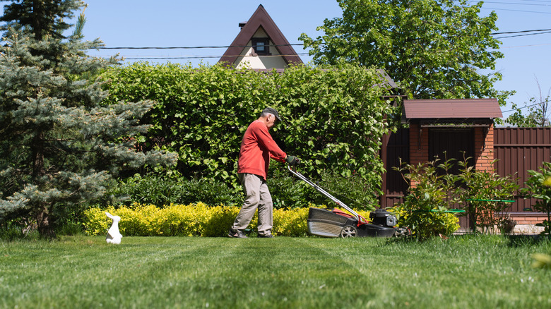 Exactly How Often You Should Mow Your Lawn (And Why It Matters)
