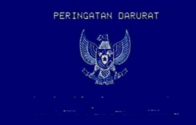 Arti Resistance Blue, Brave Pink, dan Hero Green, Simbol Solidaritas