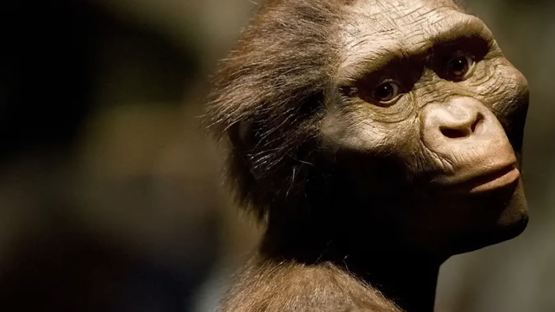 The first humans faced a world built to kill