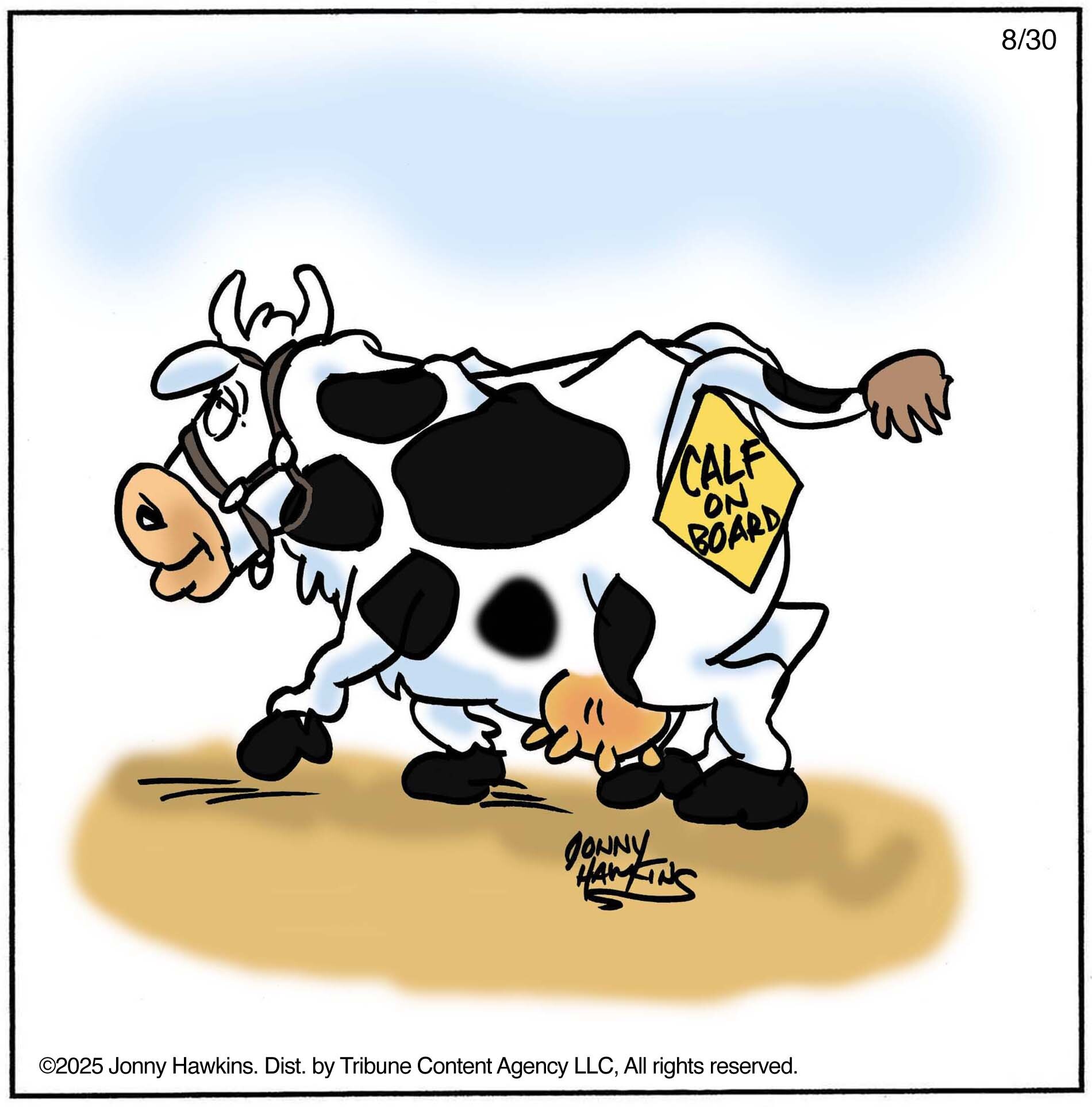 Zoolies by Jonny Hawkins