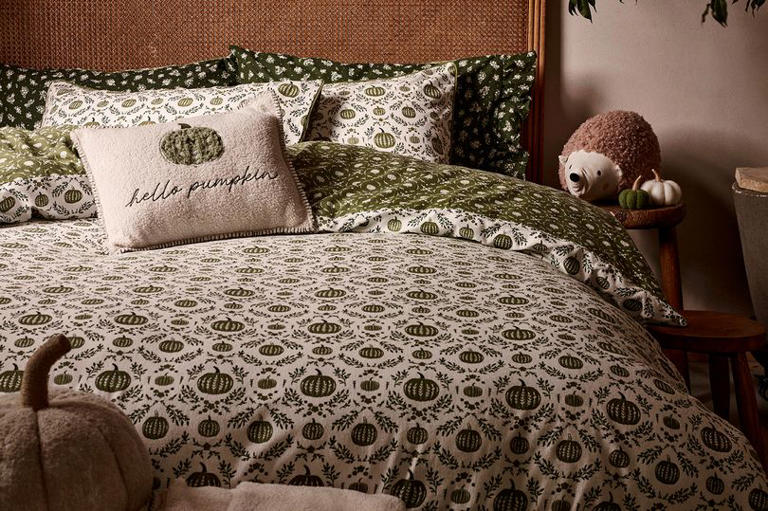 Stacey Solomon's autumn range lands in Asda as shoppers drool over £3. ...