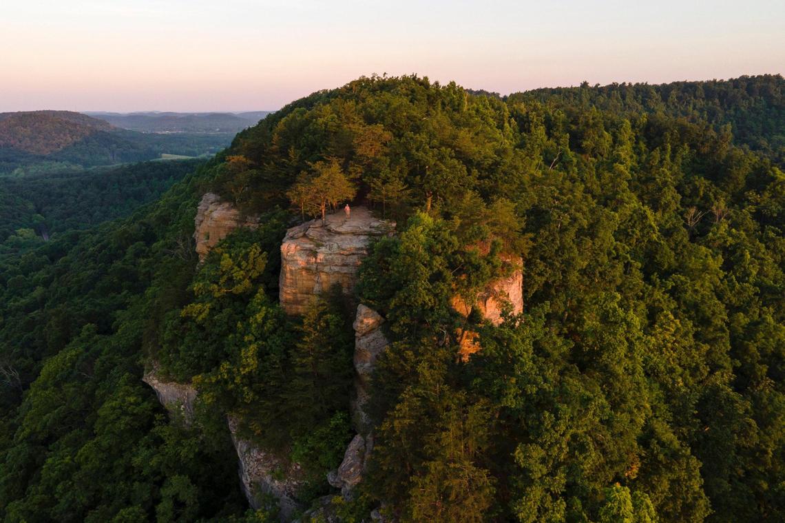 Eminent domain case would put electric line through forest. Berea ...