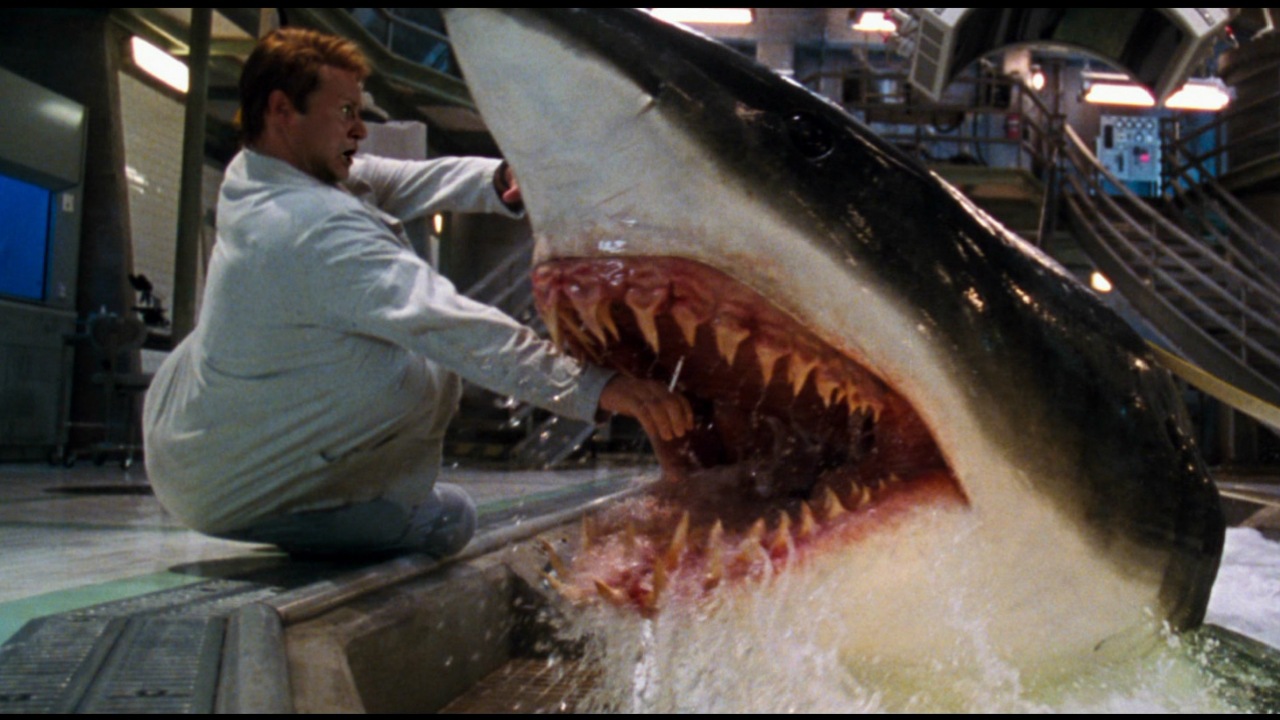 Top 10 Best Shark Movies of All Time