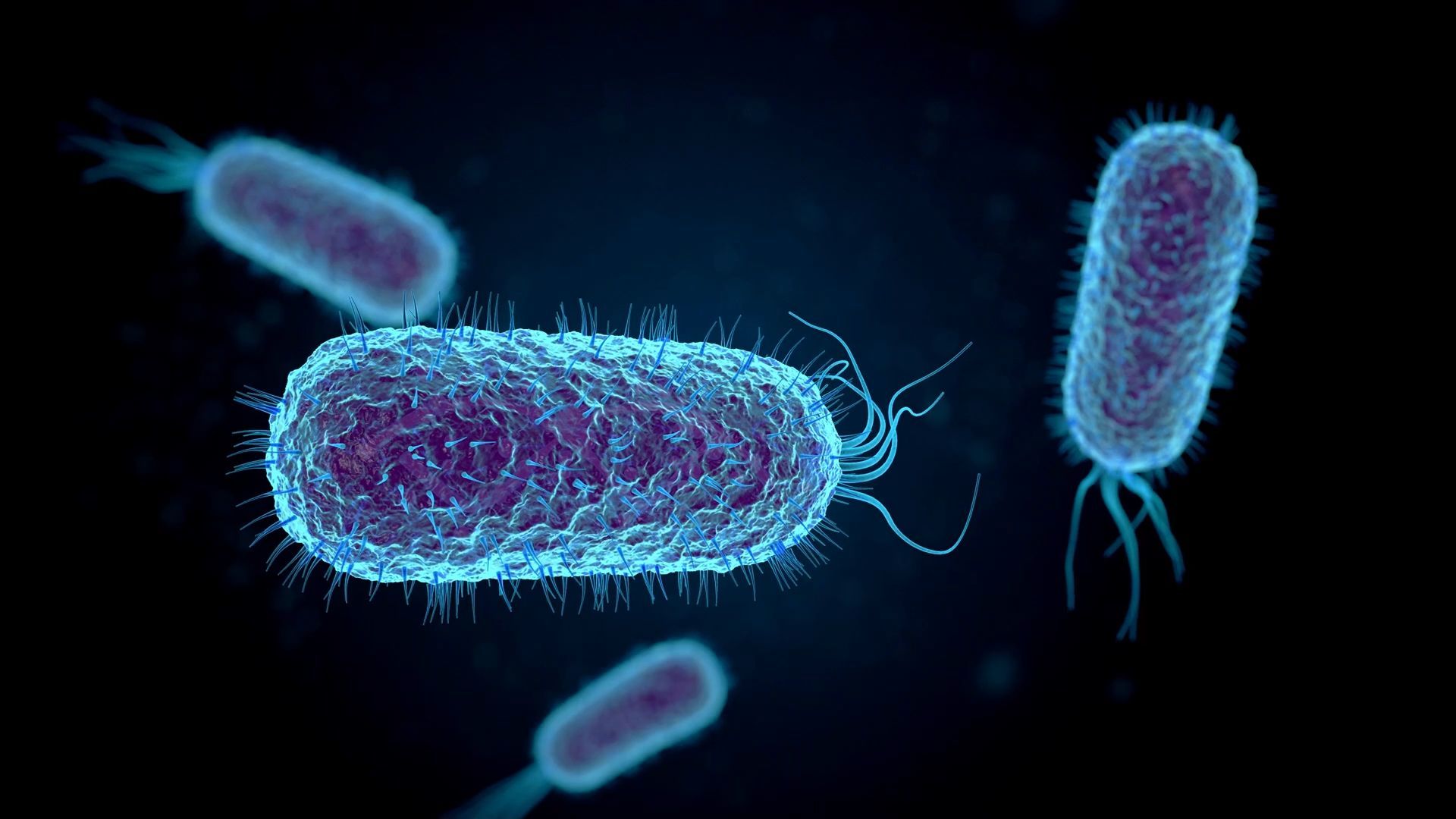 Starker Anstieg der Ehec-Infektionen: So kann man sich schützen