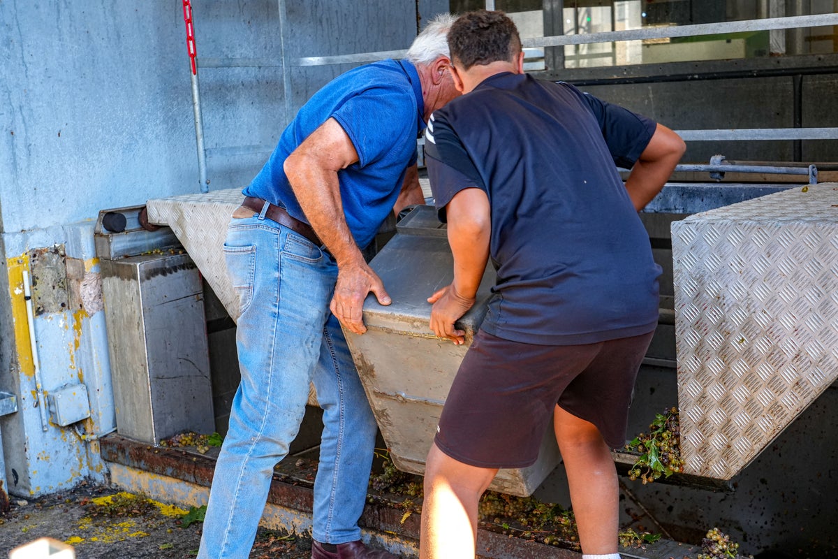 Just five minutes of daily vigorous exercise can cut death risk for ...