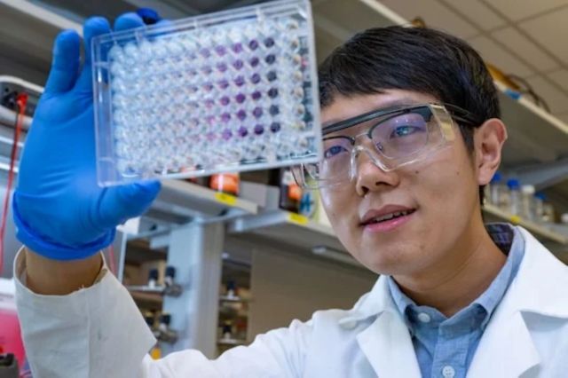 Scientists make incredible discovery after studying common food element ...