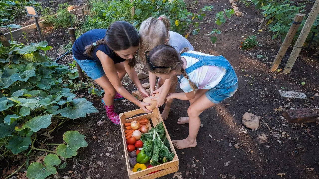 8 garden plants that can harm your children: What every parent should know