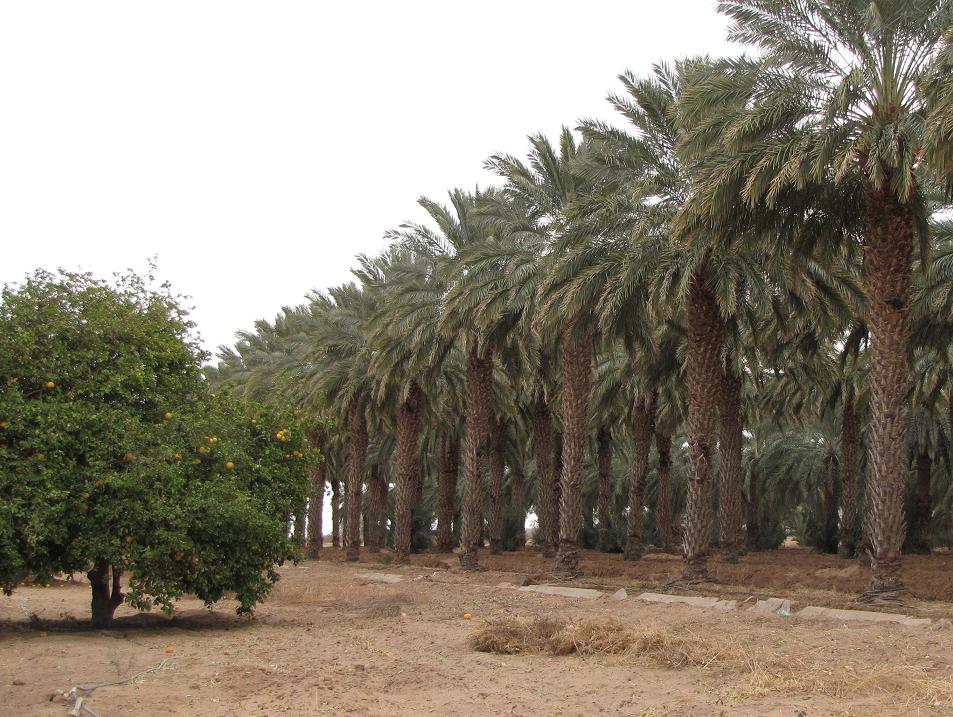 12 Secluded Towns Rooted Deep in the Rugged Desert Terrain of Southwest ...