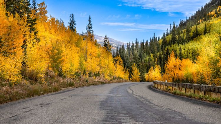 Fall colors showing up early in Colorado: Here's when to see peak colors