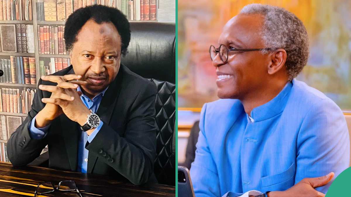 Watch trending video as Shehu Sani mocks El-Rufai, details emerge