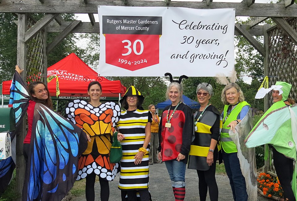 St. Demetrios Greek Festival, Insect Fest, and More Fun Things To Do ...