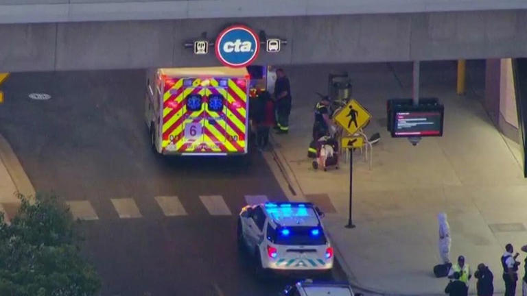 CTA Red, Purple Line trains running with significant delays after ...