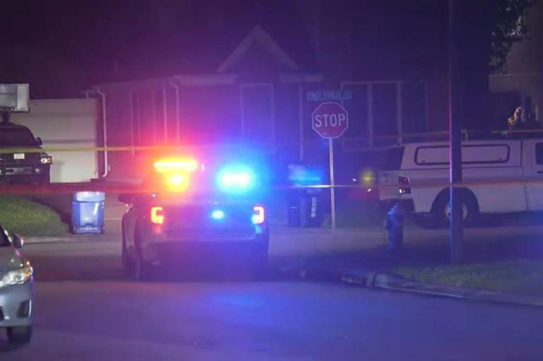 Girl returns home to find her parents dead in murder-suicide after ...