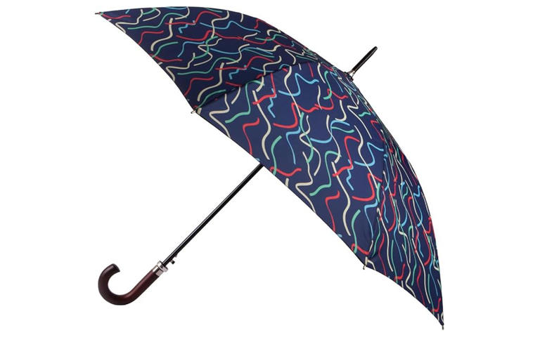 Best umbrellas for rain in the UK