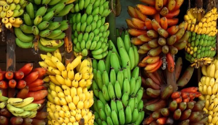 Types of Bananas that Support Weight Loss