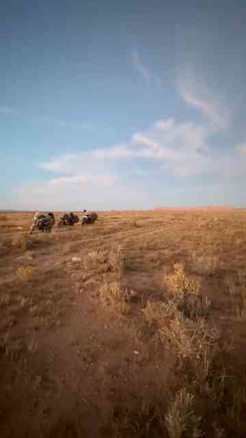 A Scary Crash but Grateful for a Safe Outcome