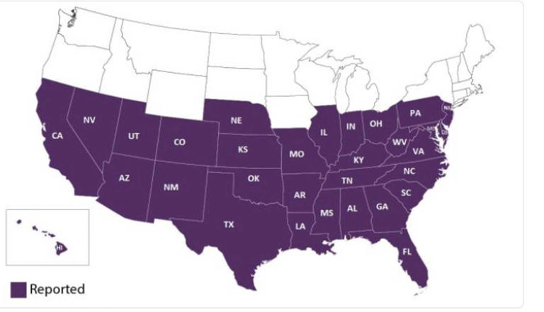 Kissing Bugs Spreading Deadly Chagas Disease In 29 States, Creeping North