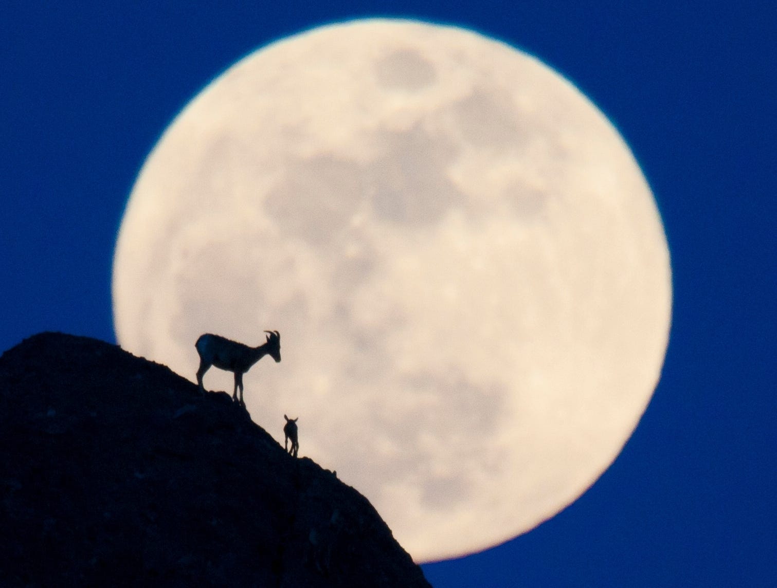 Corn Moon coming next week. Will skies be clear? See when it will be at ...