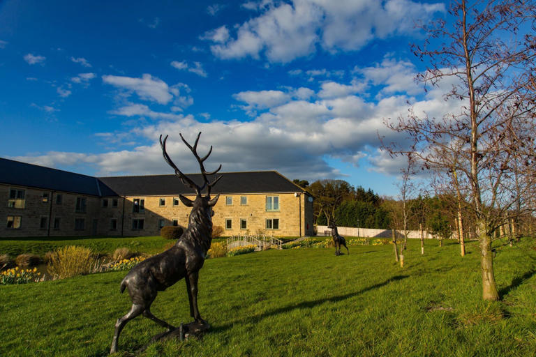 Food experts have named 21 of the best restaurants across Derbyshire ...