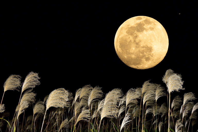 September 2025 Full Moon Date: Here's how to see the Harvest Moon - and ...