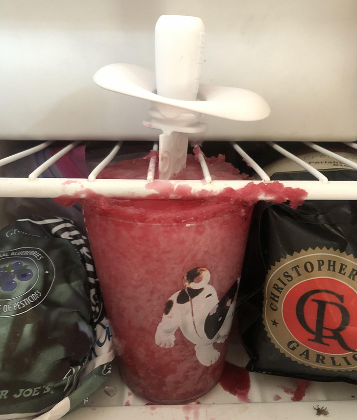 24 Times Kids Made Ordinary Days Spectacular