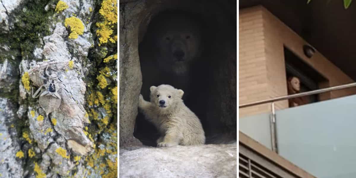 Real-life 'When You See It' moments