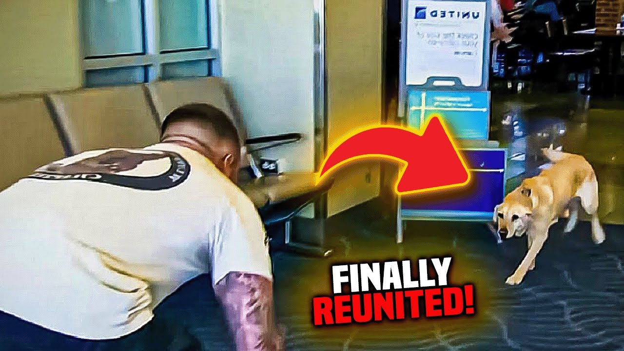 Soldier Hasn’t Seen Best Friend In 2 Years Watch What Happens When They ...