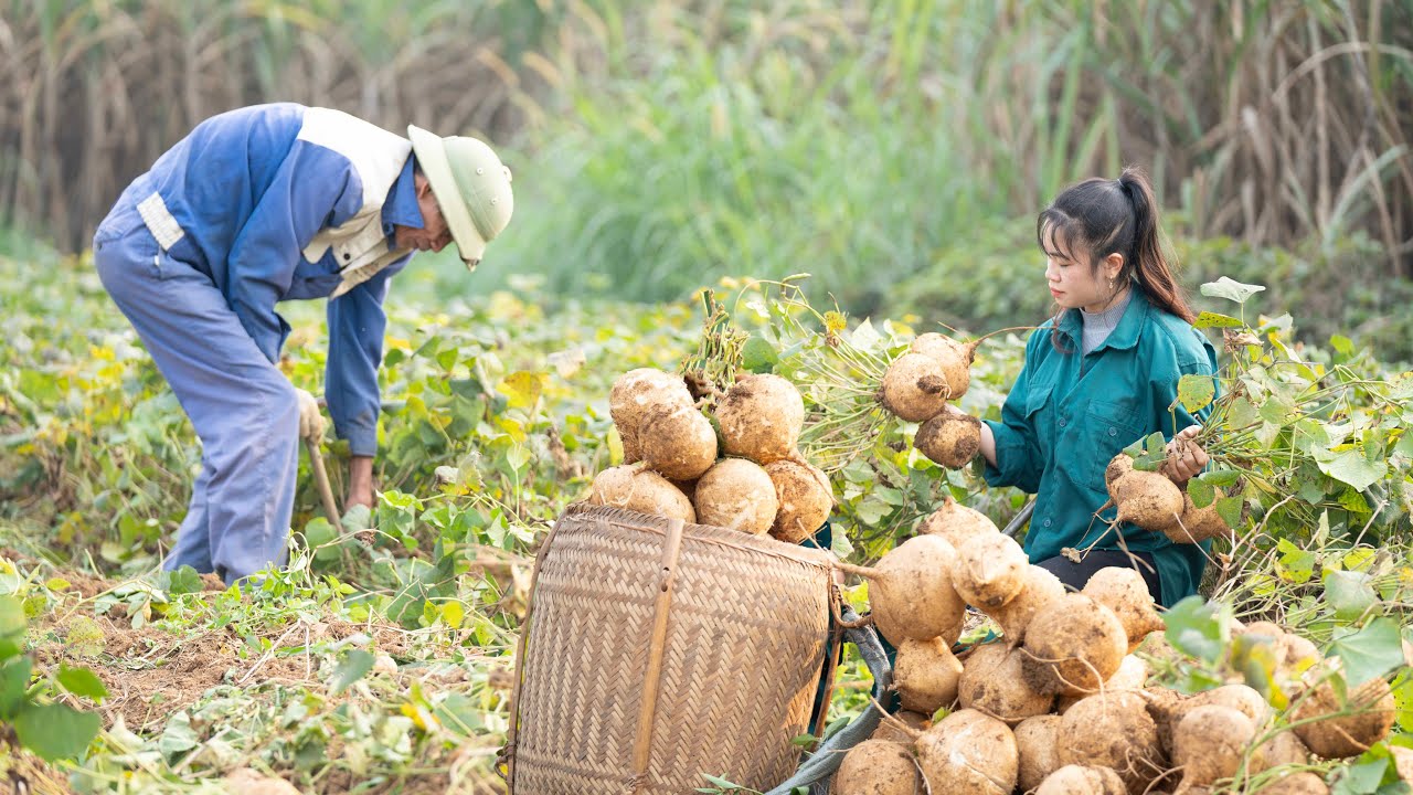 Dari kebun ke meja: memasak bersama keluarga