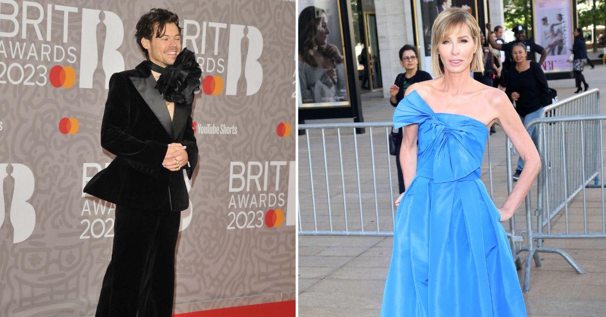 'RHONY' Alum Carole Radziwill and Harry Styles Spark Romance Rumors at ...