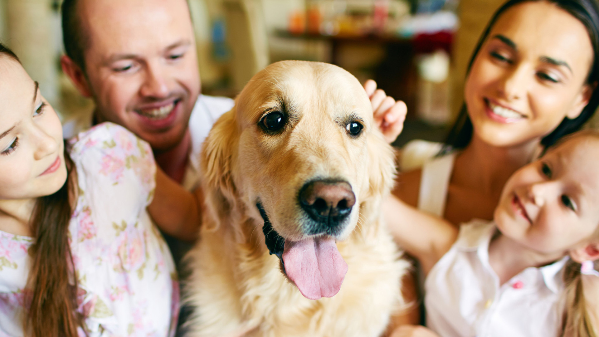 The 30 most popular pet names in the USA for 2025, ranked