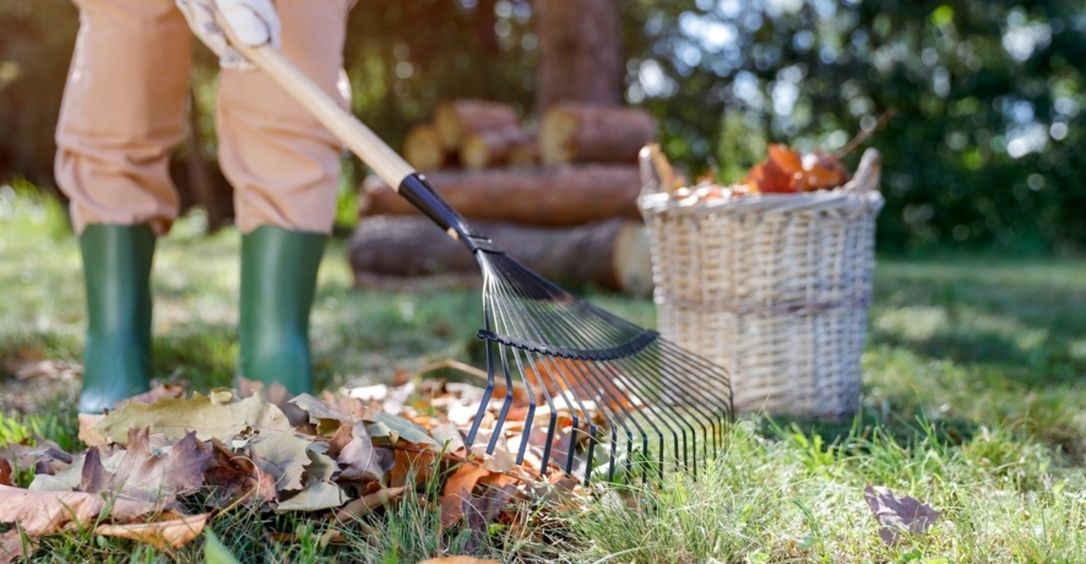14 Easy Steps to Prep Your Garden Before Fall Arrives