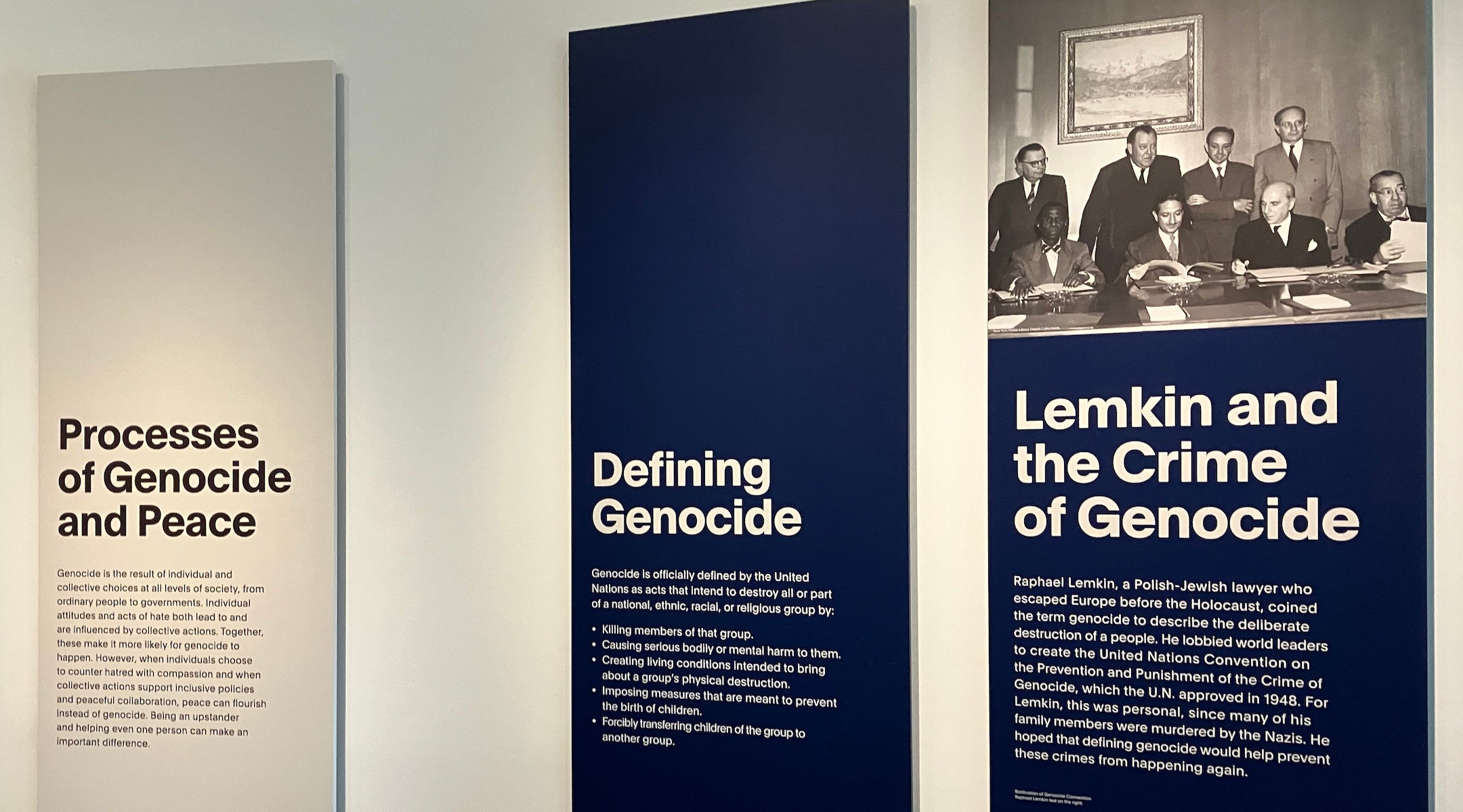 International Association of Genocide Scholars says Israel’s war in ...