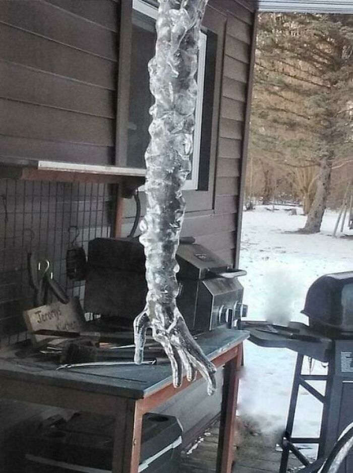 46 Times People Experienced A Serious Case Of Pareidolia And Documented ...