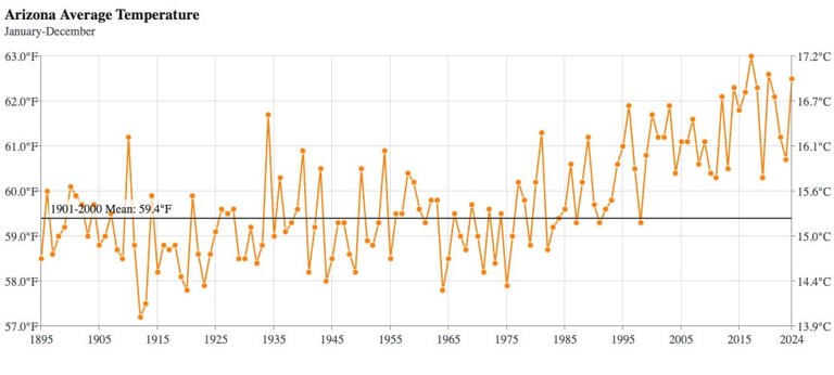 Too hot for rattlesnakes? Reptiles, cactuses struggle in Arizona's ...