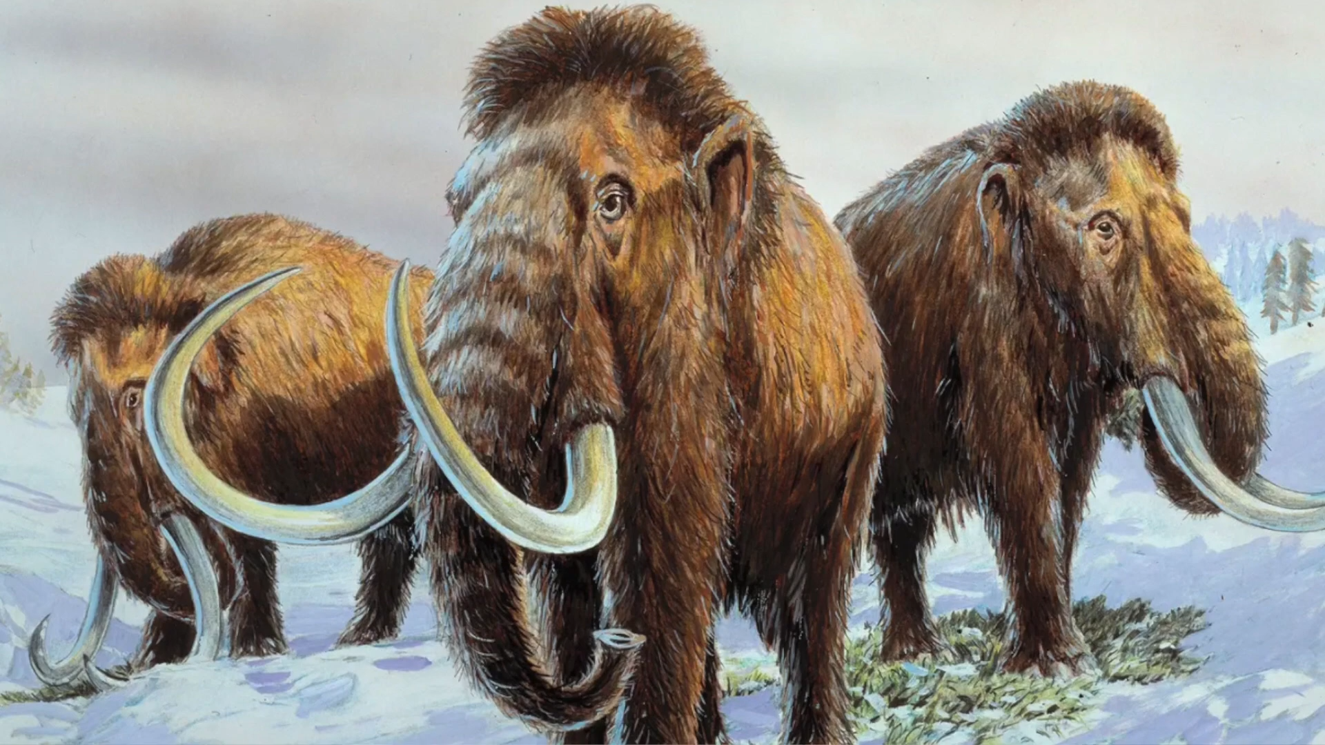 The scariest extinct animals once found in Britain