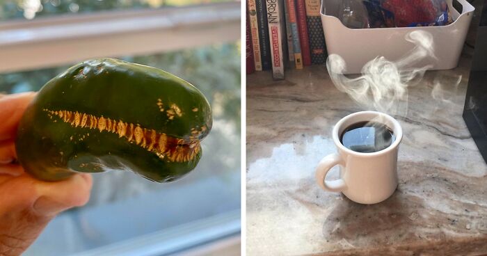 46 Times People Experienced A Serious Case Of Pareidolia And Documented ...