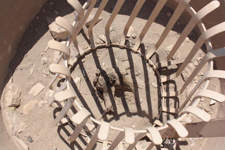 Where Was the Lost Kingdom of Punt? New Clues Point to the Horn of Africa