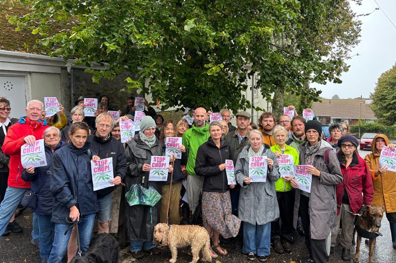 Falmouth locals, MP, councillors and campaigners demand Cornwall Council transparency over ...