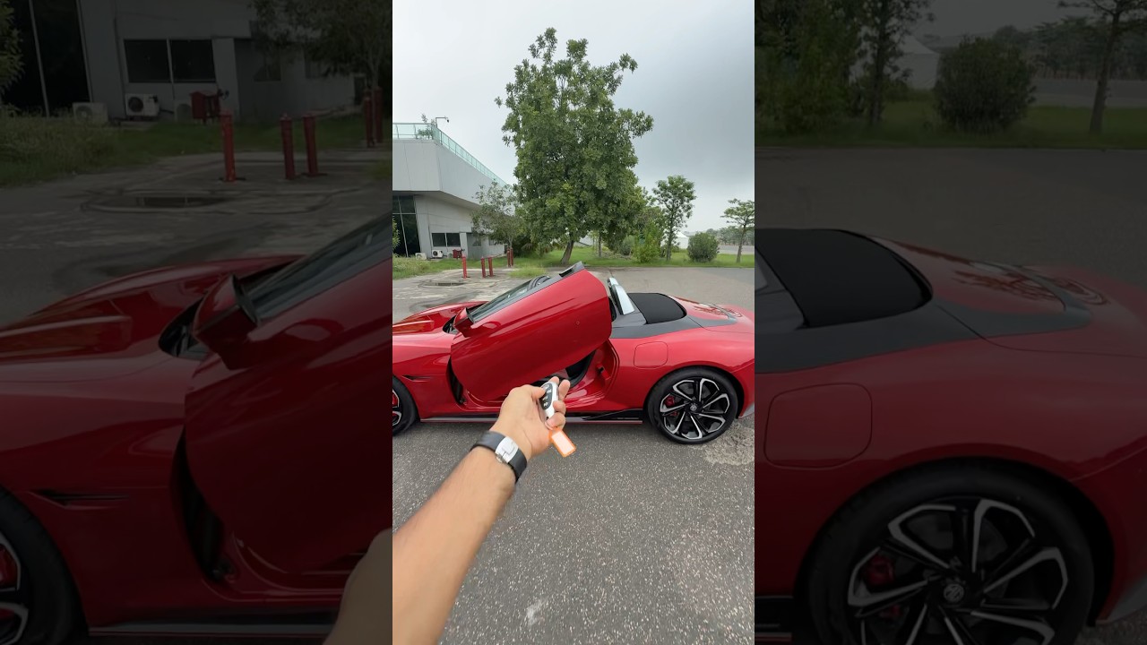 Unveiling the cheapest car with scissor doors!