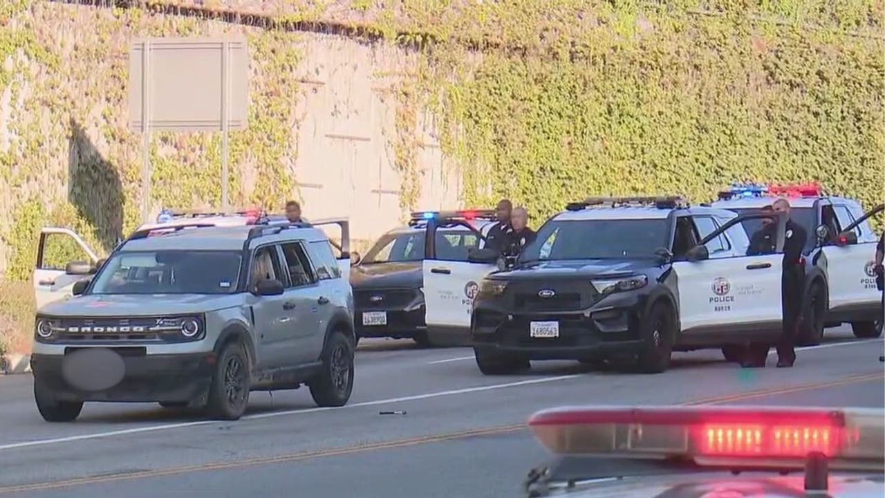 Naked woman in standoff with LAPD after pursuit