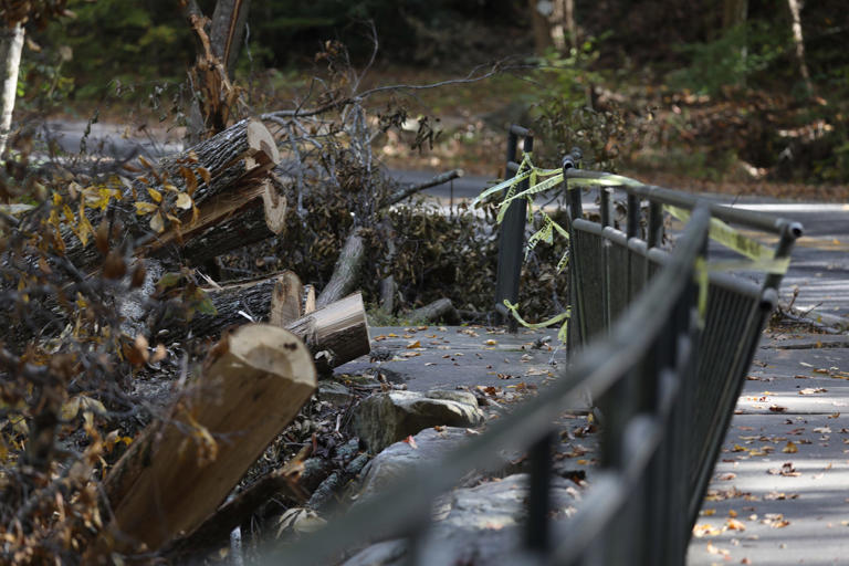 Renovation work will shut off access to South Carolina's oldest bridge ...