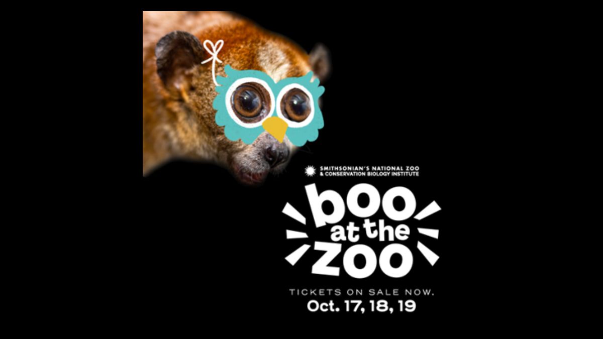 National Zoo Announces Halloween Events for Families and Adults
