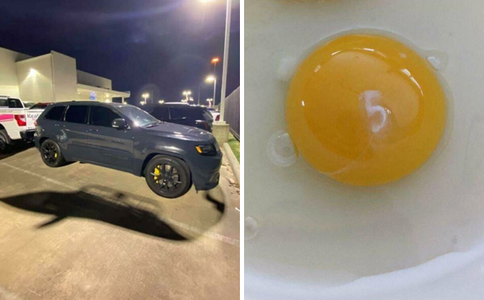 50 Times People Spotted Something ‘Mildly Interesting’ And Documented ...
