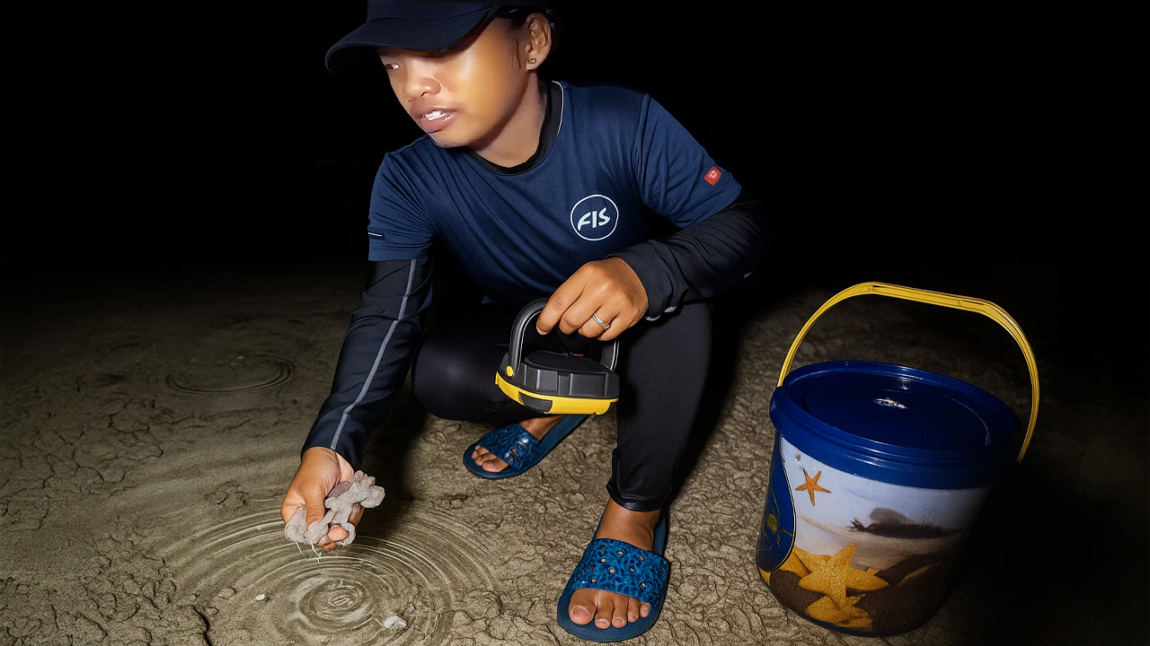 Exploring stunning underwater worlds