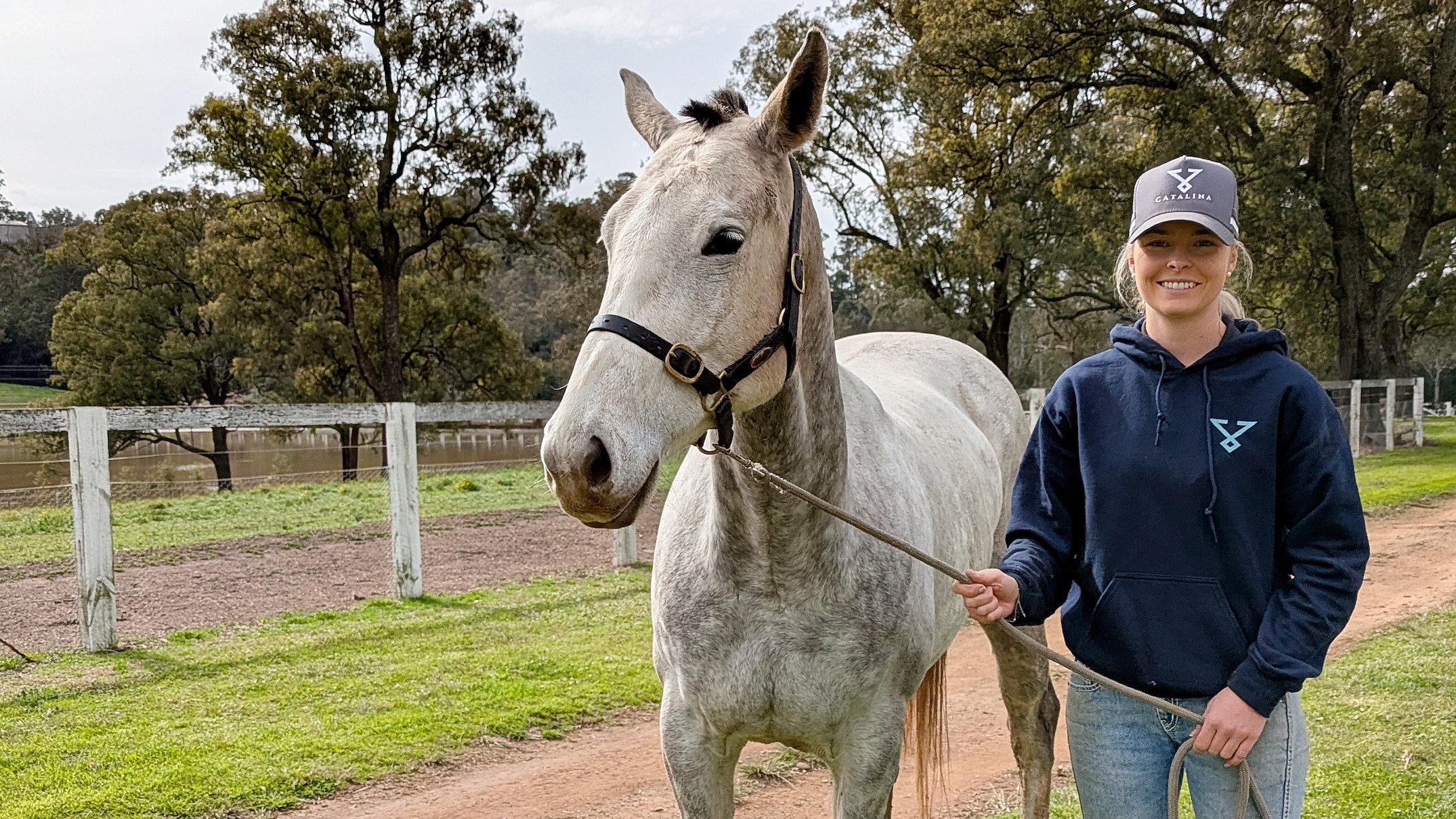 Horse and cattle cloning now commercialised in Australia, 30 years ...