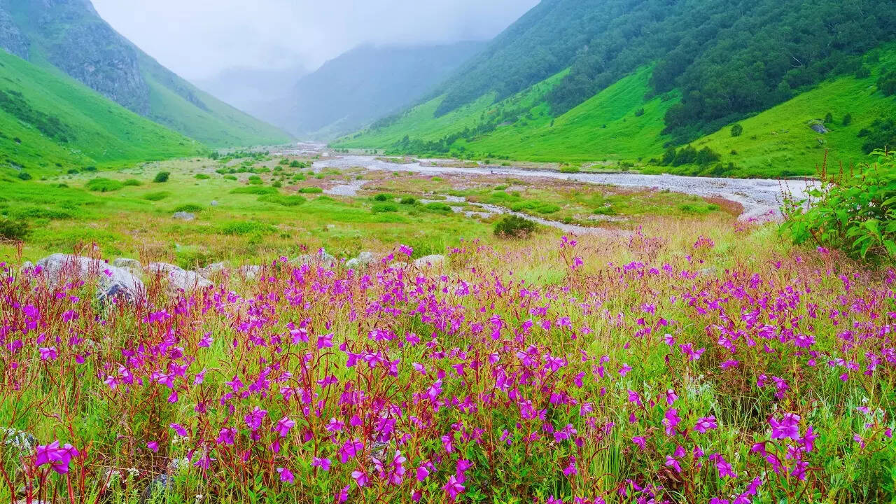 Discover India’s wild beauty: 10 stunning natural wonders of India