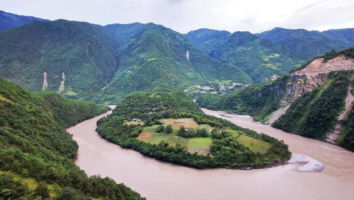 ‘Long and thin' creatures ‘perched' in trees near China canyon are new ...