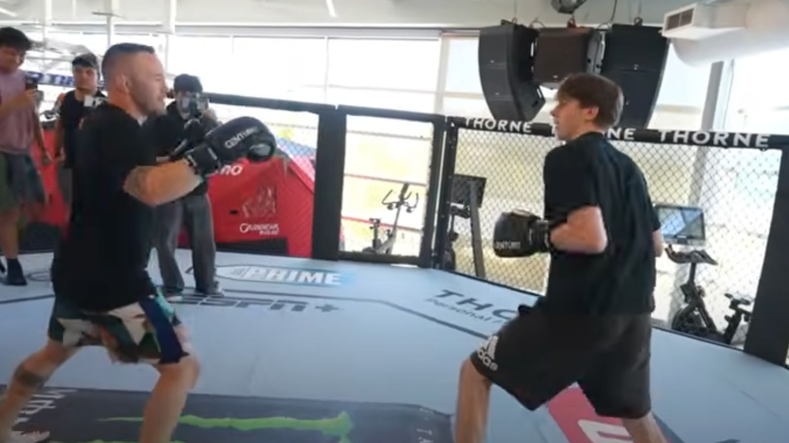 Colby Covington Overwhelms Street-Fighting Streamer Chrogman in $30,000 ...