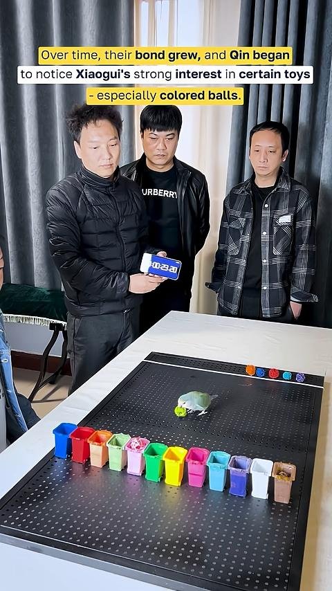 Watch: Precocious parrot earns Guinness World Record for identifying colors